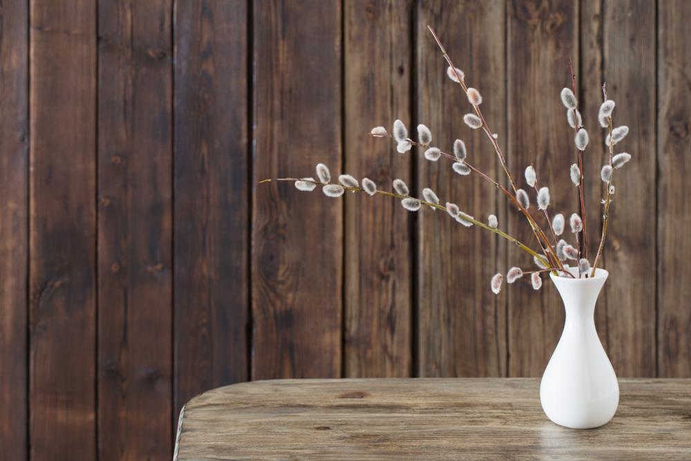 NEODOLJIVE CICA MACE PROMENIĆE CELU ATMOSFERU: Pustite mašti na volju i ...