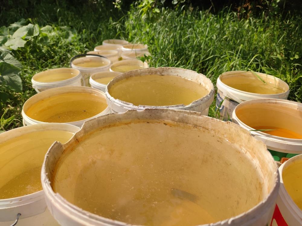 12 vrsta povrća koja savršeno uspevaju na balkonu u kanti od Jupola + 2 ...