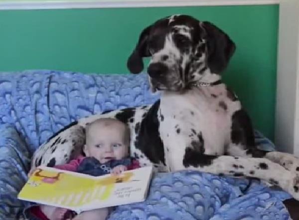 Zbog ovoga ćete promeniti svoje mišljenje: Beba i Danska doga od 50 kg ...