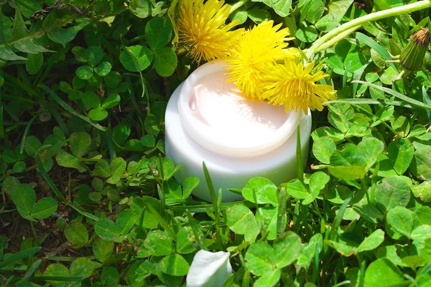 Šta je kamfor i šta sve može da izleči: Nezasluženo pao u zaborav! | Stil