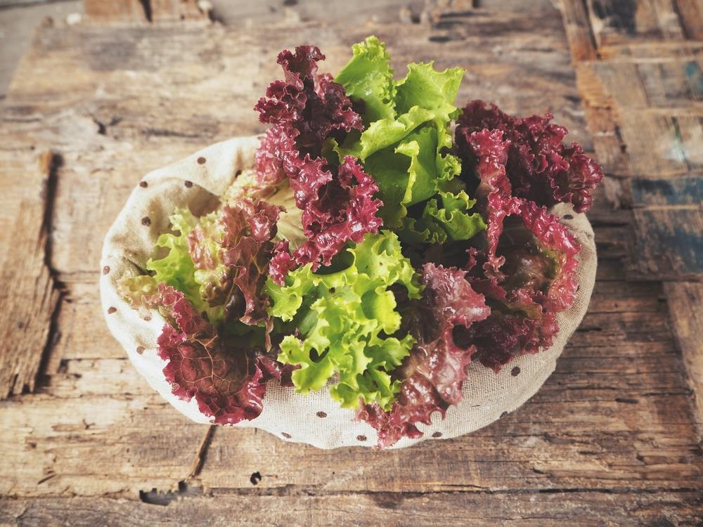 Lolo roso salata je neverovatno zdrava: Poboljšava vid, čisti kožu ...