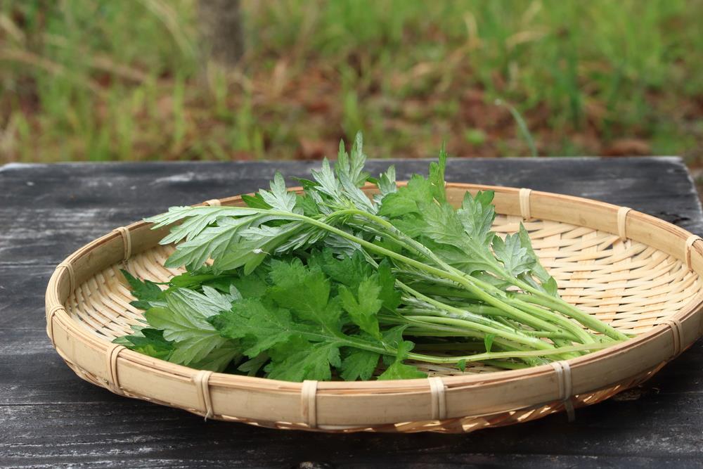 Aperitiv koji leči hiljadu tegoba: Napravite sami ovaj neverovatno ...