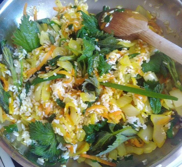 Babin bosanski rižoto: Provereno leči anemiju! (RECEPT) | Stil