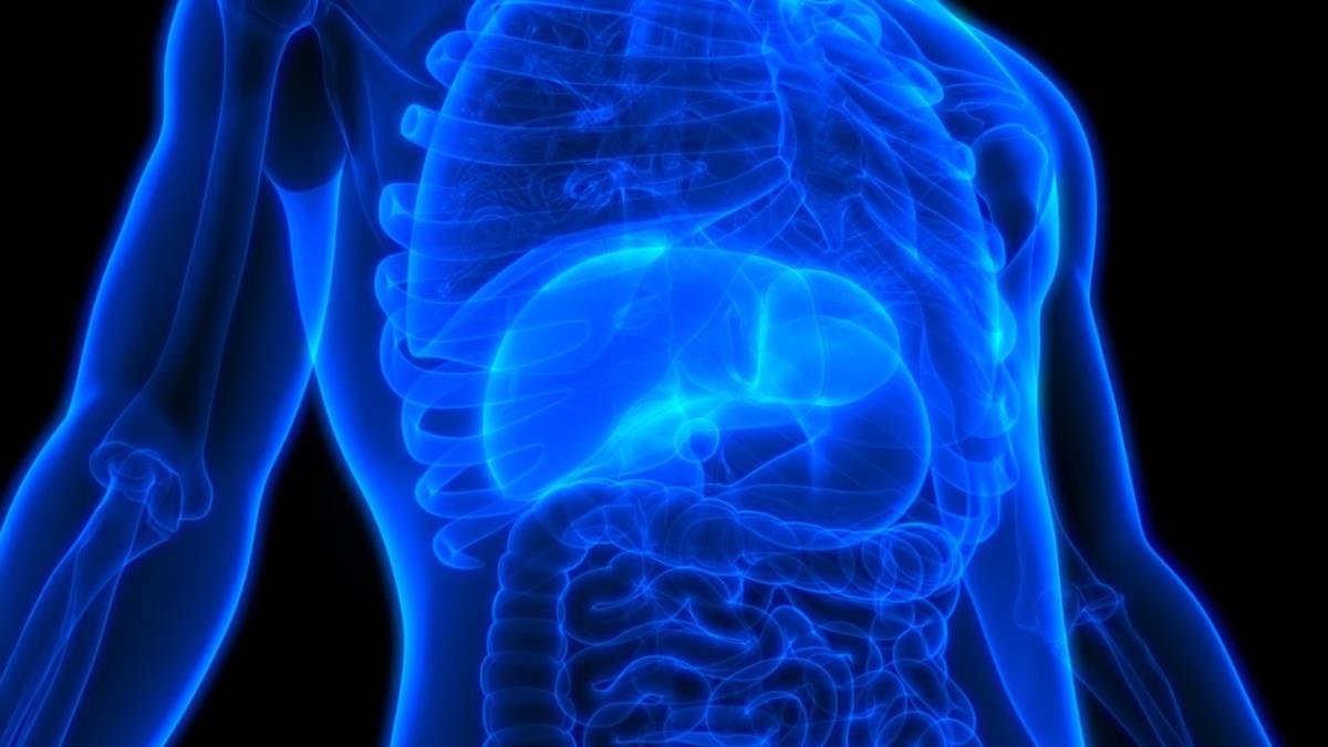 Čišćenje jetre od masnoće i bolesti narodnim lekovima: Potpuna obnova ...