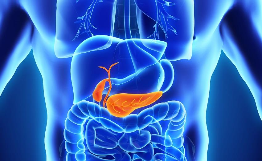 Akutna i hronična upala pankreasa: Prvi simptomi da će vam gušterača ...